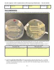 Yeast Complementation DNA Sequencing Analysis Course Hero
