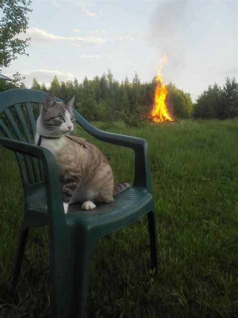 The Future Of Team Pouko Scrolller