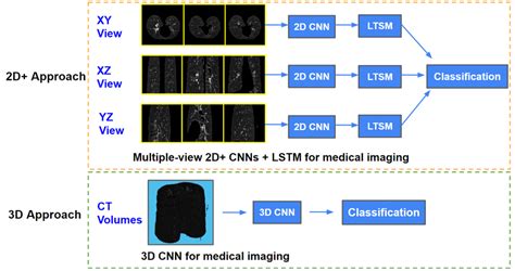 Comparison Between 2d And 3d Cnn For Medical Images Classification Download Scientific Diagram Comparison Between 2d And 3d Cnn For Medical Images Classification Download Scientific Diagram