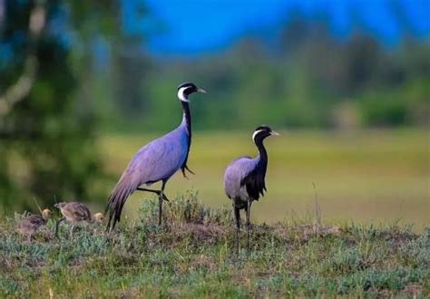 阻止的近义词（阻隔 近义词）不要告诉别人 趣丸网