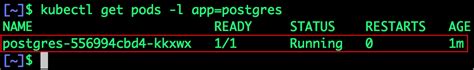 how to run ha postgresql with rancher kubernetes engine portworx