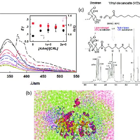 2 Molecular Simulation And Structural Characterization Of Enzyme