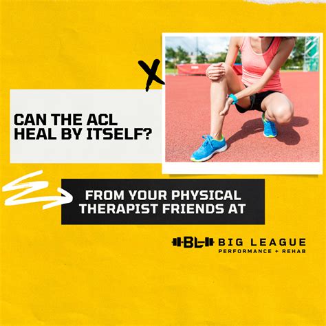 Can The Acl Heal By Itself