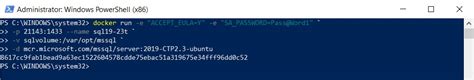 Sql Server Docker Volume And Persistent Storage Sql Authority With