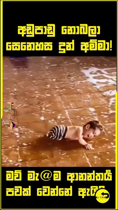 අප මහා බෝසතාණෝ පාරමී පිරීම ඇරඹුවේ අම්මා නිසා Youtube