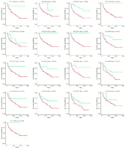 Survival Functions For The Overall Survival Outcome By The Presence