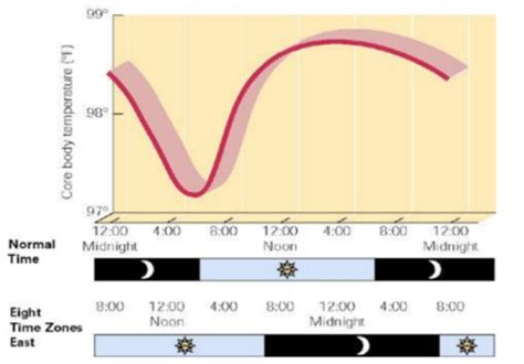Ap Psych Unit Review Flashcards Quizlet