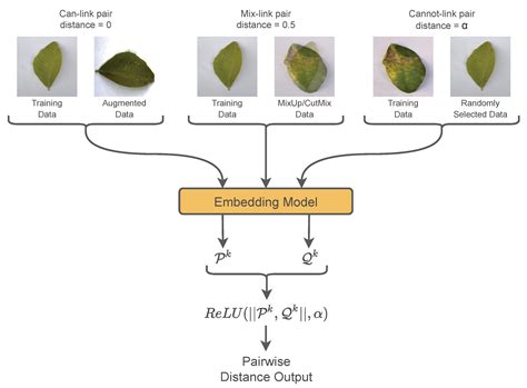 Agriculture Free Full Text Self Supervised Clustering For Leaf Disease Identification