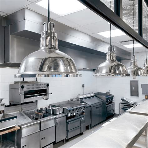 Pest Control In Commercial Kitchens Pest Busterzz