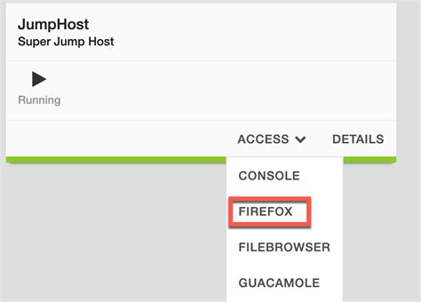 Understanding The Nginx Instance Manager Solution