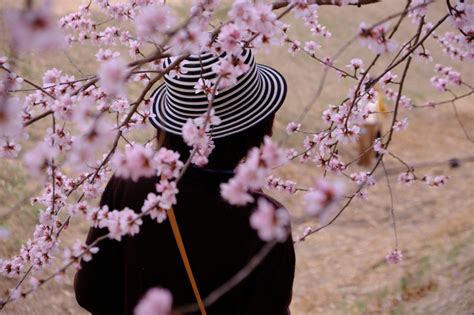 3月26日北京富士外拍 遥望远方 富士胶片影赛 FUJIFILM