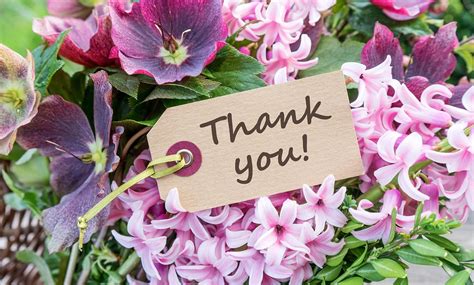 Flowers Bouquet Thank You Free Photo On Pixabay Pixabay