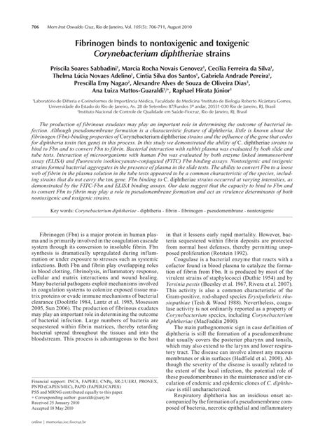 Pdf Fibrinogen Binds To Nontoxigenic And Toxigenic Corynebacterium Diphtheriae Strains