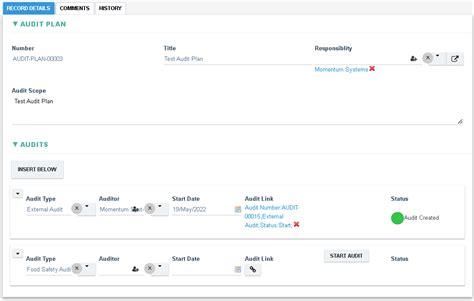 Creating An Audit Plan