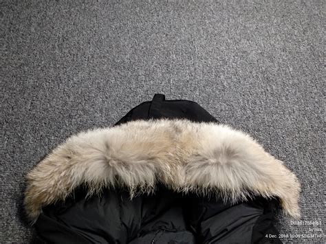 Qc Feiyu Langford L Updated R Fashionreps