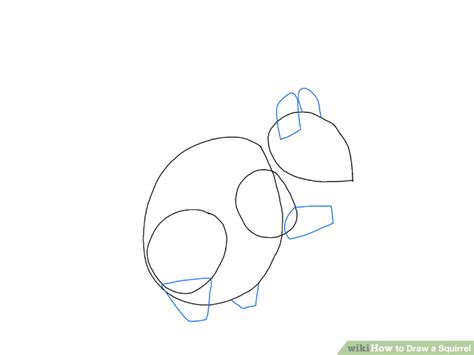 4 Ways To Draw A Squirrel WikiHow