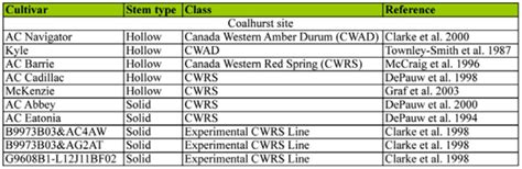 Cultivar Stem Lumen Type And Wheat Class Used In The 20032005 Study