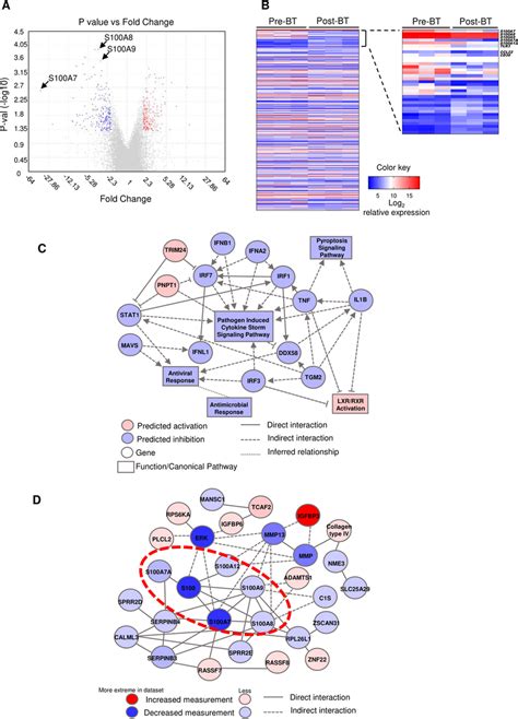 Transcriptomic Analysis Of Becs Of Severe Asthmatics Pre And Post Bt Download Scientific