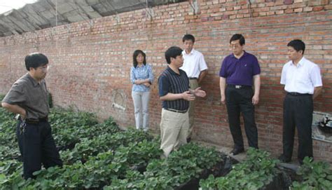 校长王有年赴我校兴寿草莓基地进行考察调研 欢迎访问北京农学院学校新闻网