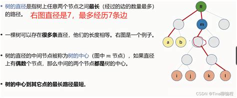 Noip，csp J，csp S——树cspj 二叉树 Csdn博客