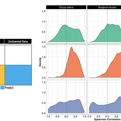 Baseline Partial Least Squares Prediction Performance Of Within Species Download Scientific
