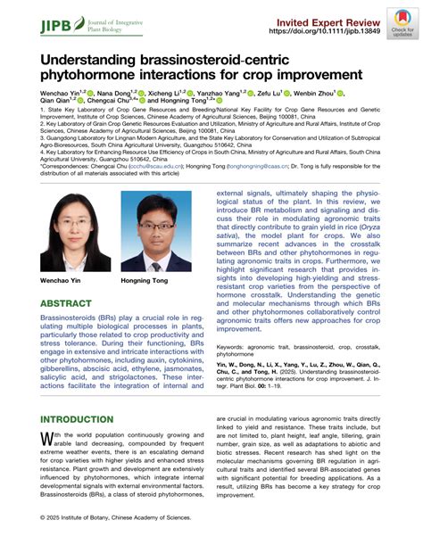 Understanding Brassinosteroid‐centric Phytohormone Interactions For