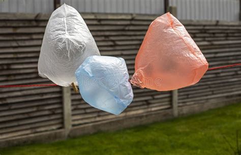 Plastic Pollution Of The Environment With Disposable Multi Colored Bags