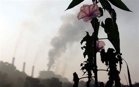 Coal India Carbon Emissions Less Than Of India S In Fy Construction Week India