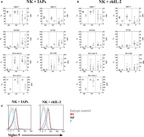 phenotypic characteristics of proliferating and non proliferating