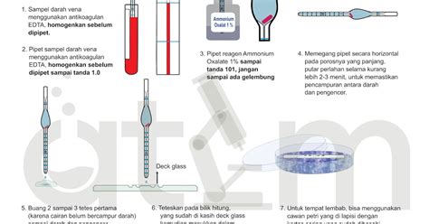 Menghitung Jumlah Sel Trombosit Metode Visual Hemositometer — Online Text Book Atlm