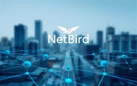 Easy Guide How To Setup Netbird To Access Home Network