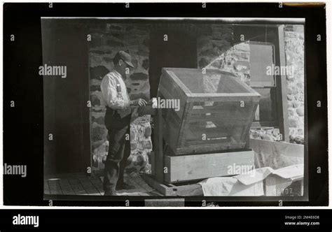 Tree Seeds Storage Photographs Relating To National Forests Resource Management Practices