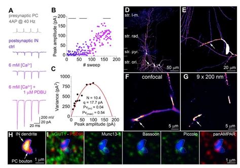 Open Access A High Resolution Method For Quantitative Molecular