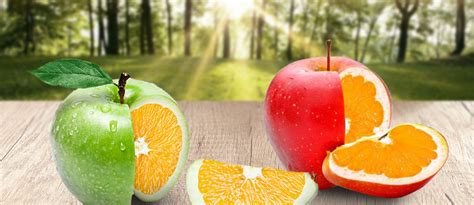 The Similarities Between Apples And Oranges Paradigm Productions Inc