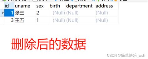 postman连接mysql数据库工具 xmysql apipost连接数据库 csdn博客
