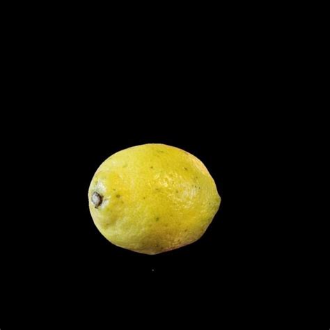 Lemonquality Instance Segmentation Model By Sermagnus