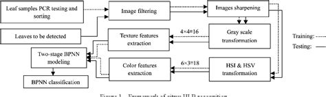 Figure 1 From Detection Of Citrus Huanglongbing Based On Image Feature Extraction And Two Stage