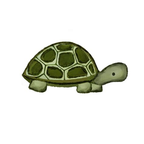 Turtle Drawing Chemistry Art