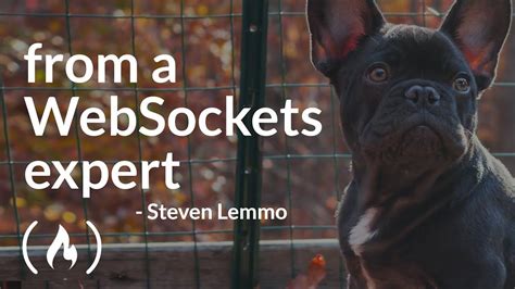 How To Add Websocket Real Time Communication To Your SaaS App