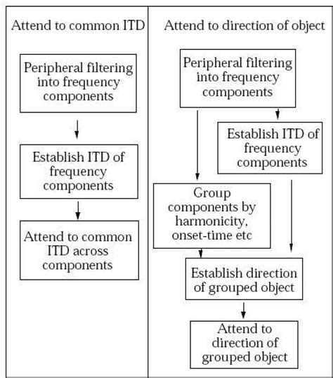 Two Models Of Monaural And Binaural Processing Audiosapiana Download Scientific Diagram