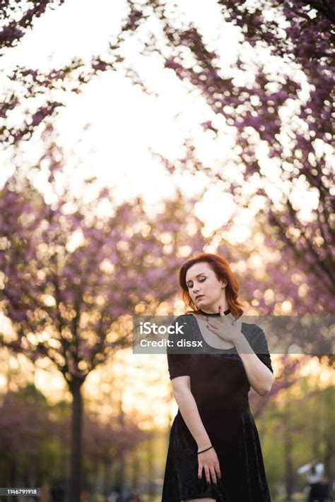 사쿠라 벚꽃 공원에서 자유 시간을 즐기는 행복 한 젊은 여행 댄서 여자백인 흰색 빨간 머리 소녀 옷을 입은 검은 초 커 검은 드레스와 검은 색의 골fs 건축에 대한 스톡