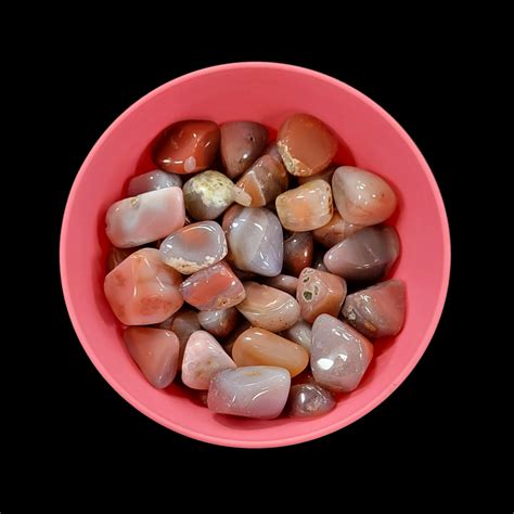 Botswana Agate Coexist Gallery