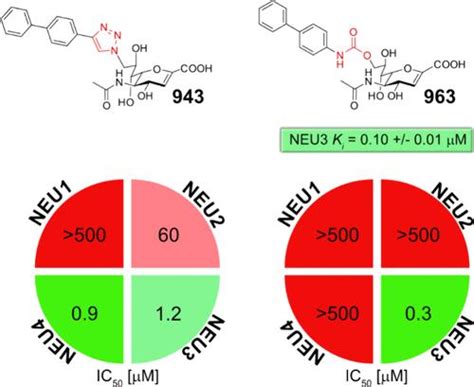 2 脱氧 2 3 二脱氢 N 乙酰神经氨酸酸 C9 处的生物异构体鉴定 Neu3 的选择性抑制剂 Journal Of Medicinal Chemistry X Mol