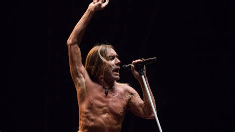 Iggy Pop Free Rtbf Actus