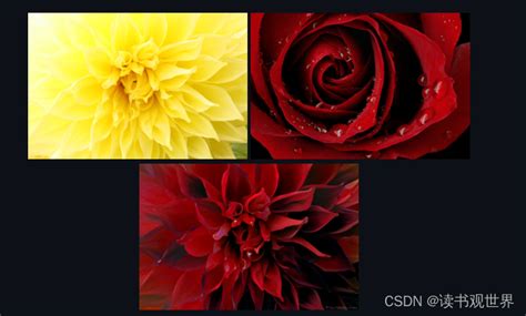 Pytorch实现gan Wgan Csdn博客