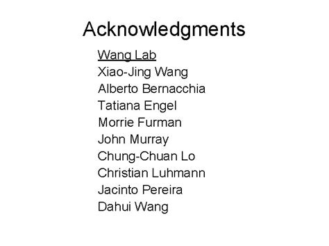 Simultaneous Integration Versus Sequential Sampling In Multiplechoice Decision