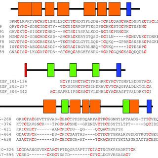 A Model For The Architecture Of The RISC Loading Complex Left Download Scientific Diagram