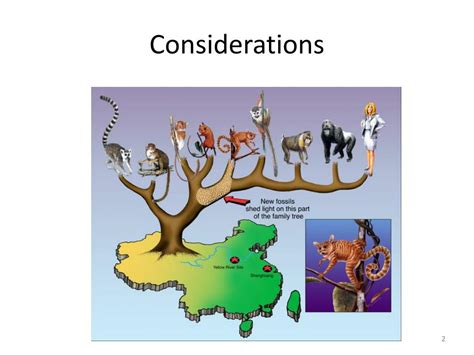 Ppt Macroevolution Speciation Powerpoint Presentation Free