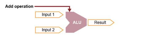 The Processor Flashcards Quizlet