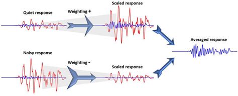The Benefits Of Weighted Averaging In Otoacoustic Emission Oae Measurements Interacoustics